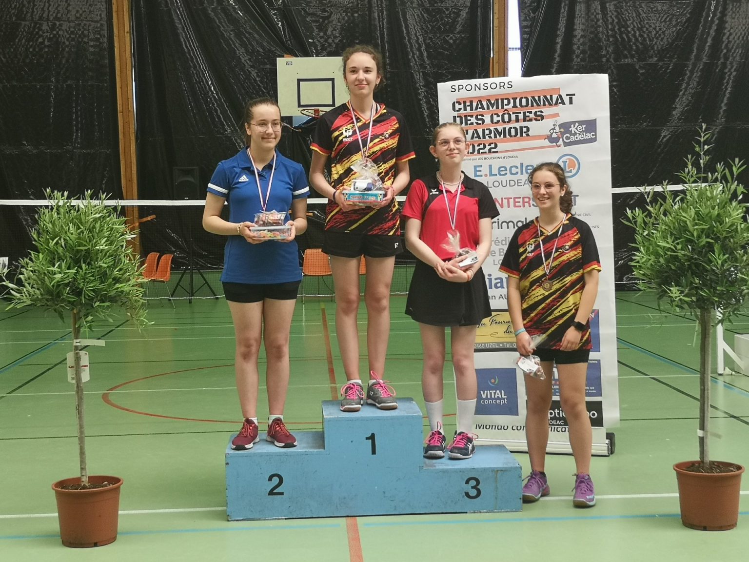 Trégor Badminton | Club de Badminton de Lannion / Tréguier / Louannec ...